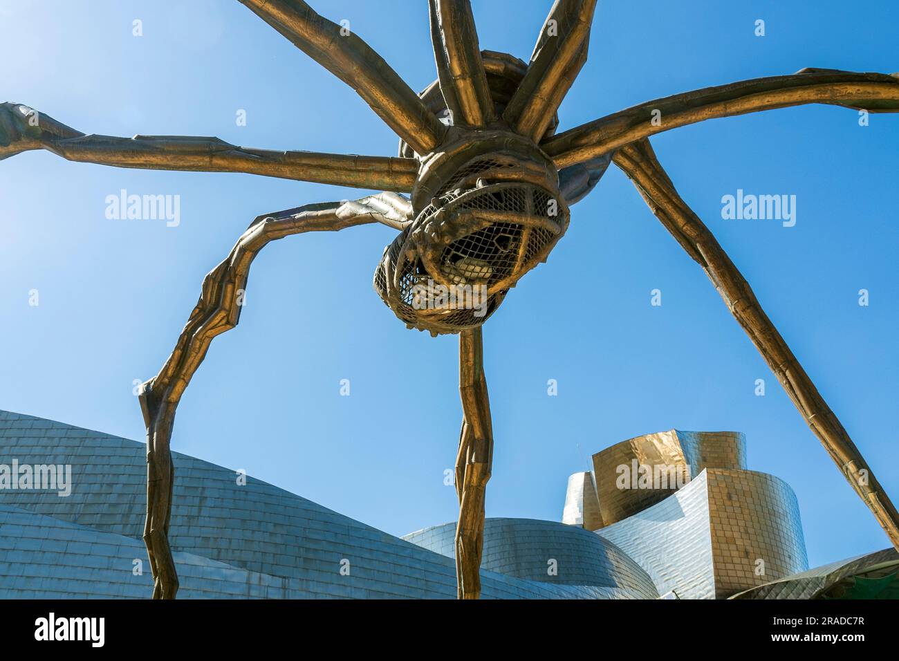 Titanium architecture hi-res stock photography and images - Alamy