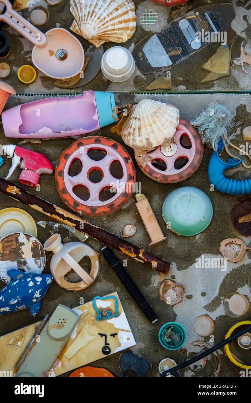 single use plastics, plastic pollution in the ocean, discarded plastics ...