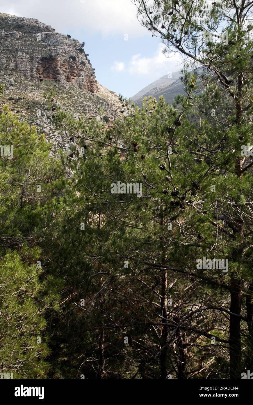 Greece, Rhodes island Embonas village and Atavyros mountain Stock Photo ...