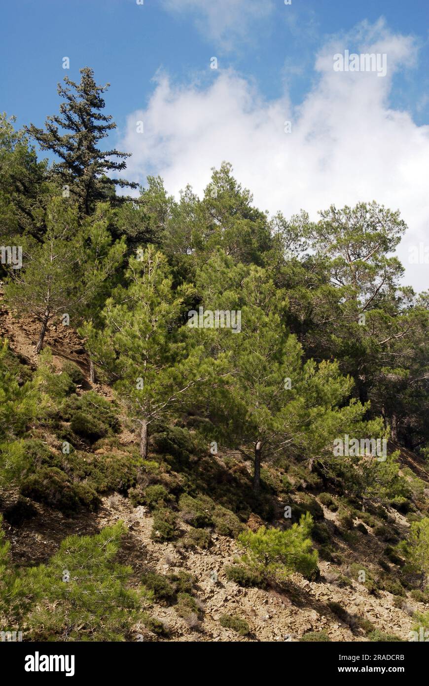 Greece, Rhodes island Embonas village and Atavyros mountain Stock Photo ...