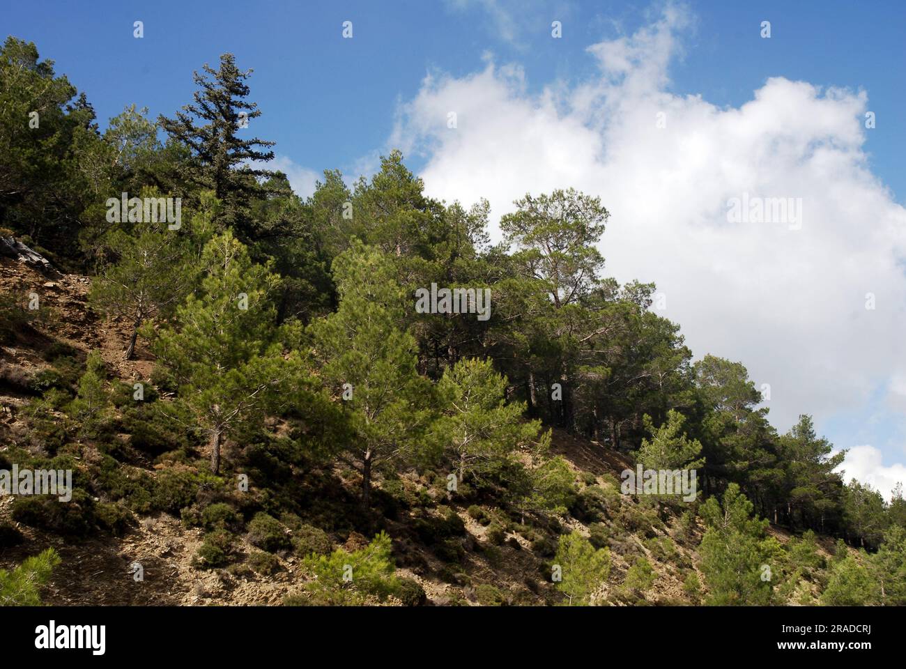 Greece, Rhodes island Embonas village and Atavyros mountain Stock Photo ...