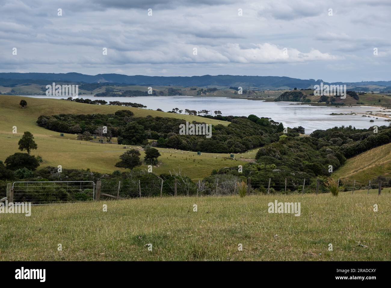Great sea views at Duder Regional Park east of Auckland in New Zealand ...