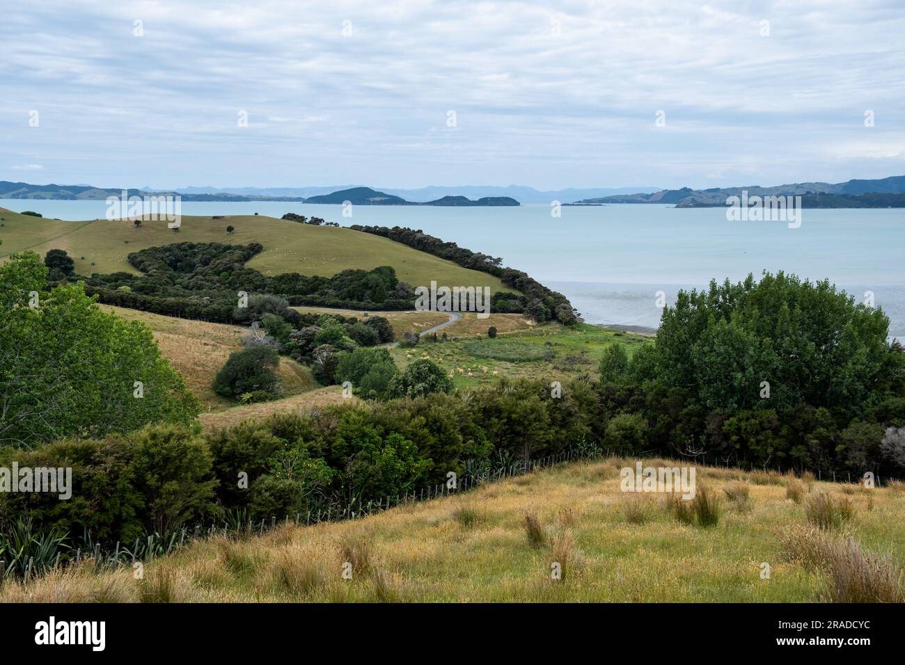Great sea views at Duder Regional Park east of Auckland in New Zealand ...