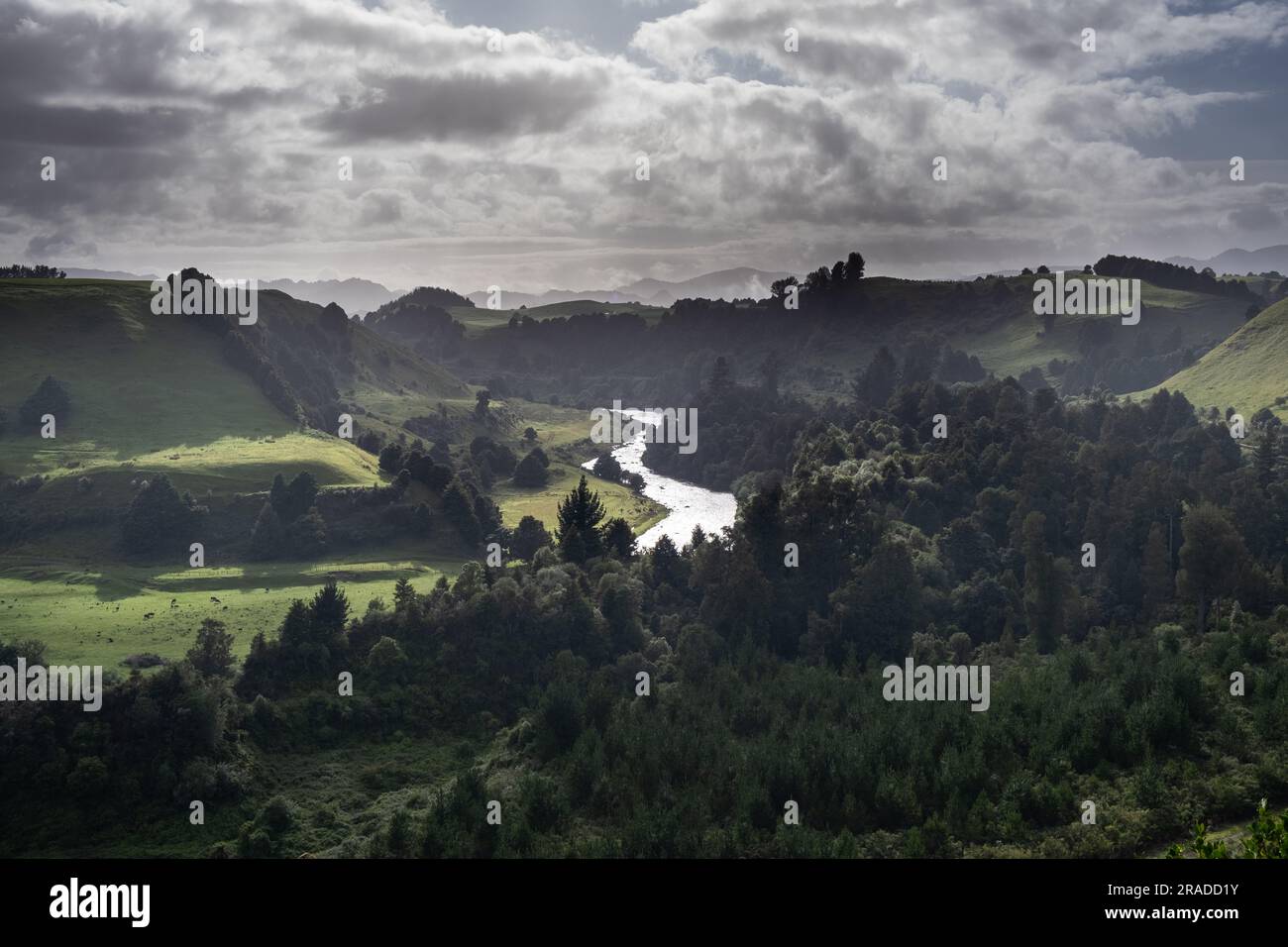 Piriaka lookout hi-res stock photography and images - Alamy