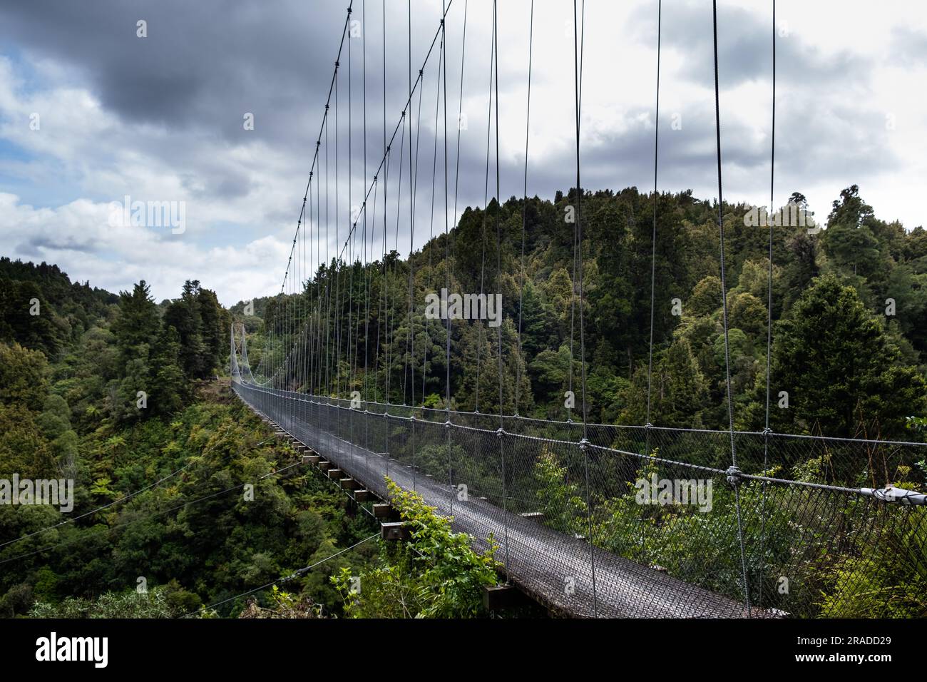 Maramataha Bridge is the longest on the Pureora-Ongarue Timber Trail at ...