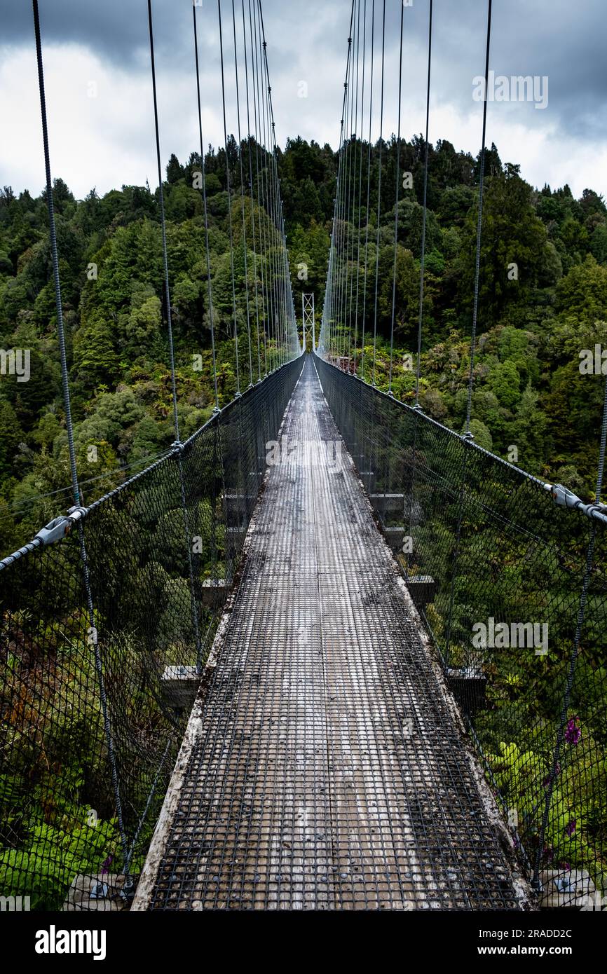 Pureora hi-res stock photography and images - Alamy