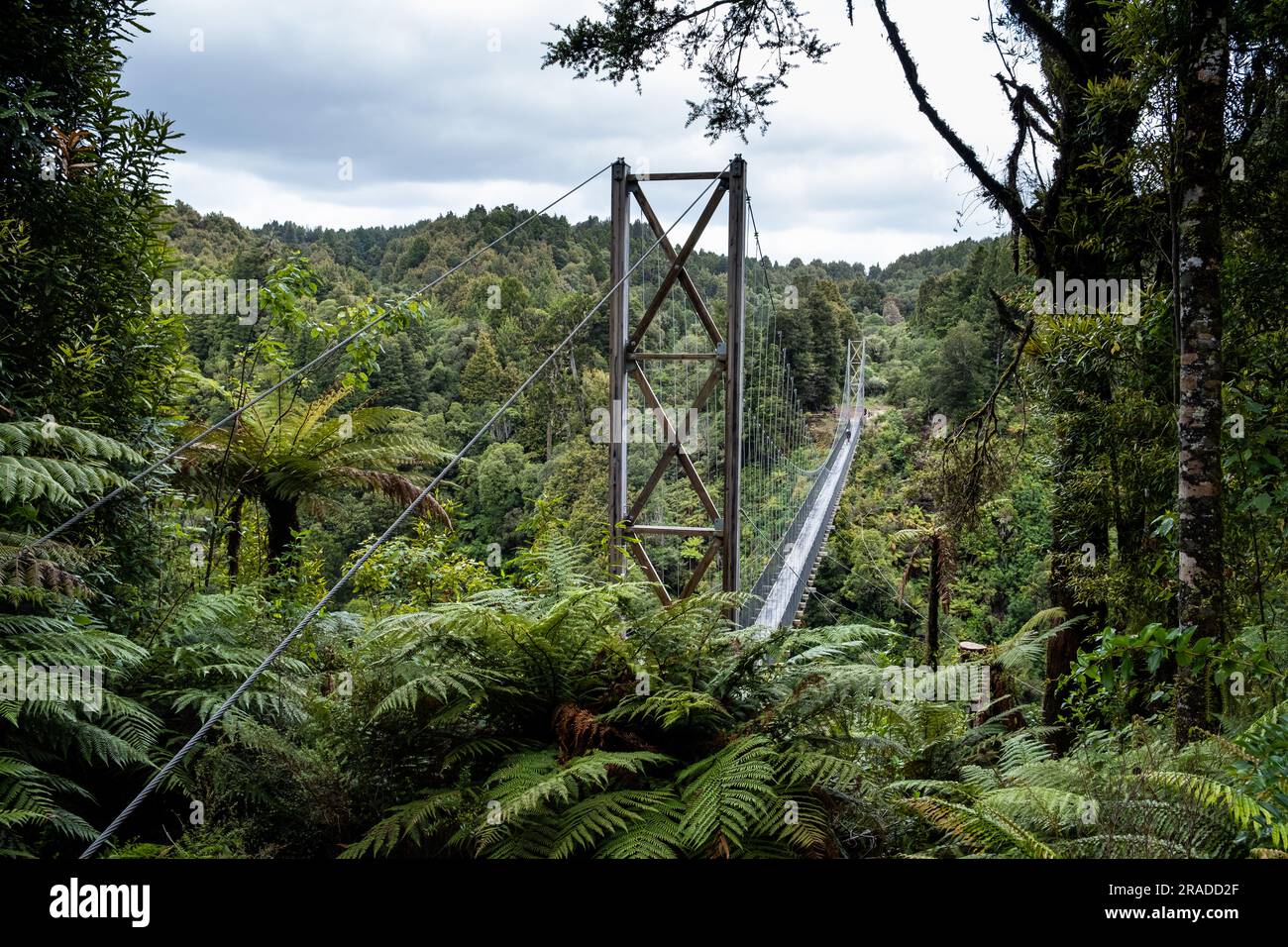 Maramataha Bridge is the longest on the Pureora-Ongarue Timber Trail at ...