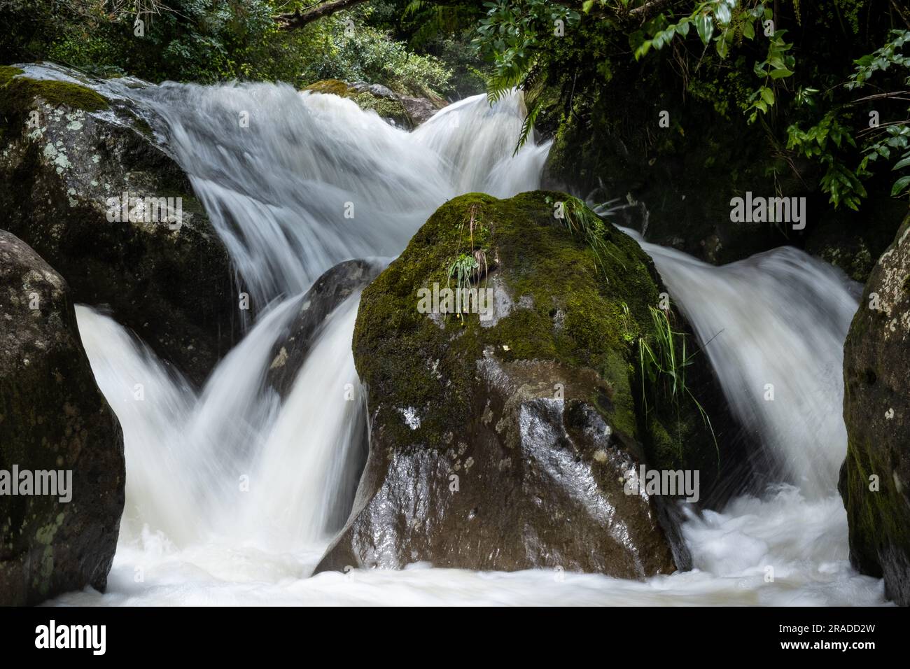 The rapids at Waione Stream – a waterfall rest stop on the Pureora ...