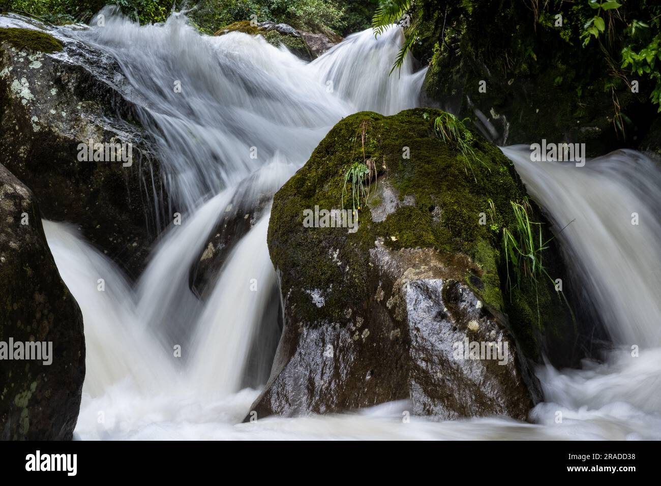 The rapids at Waione Stream – a waterfall rest stop on the Pureora ...
