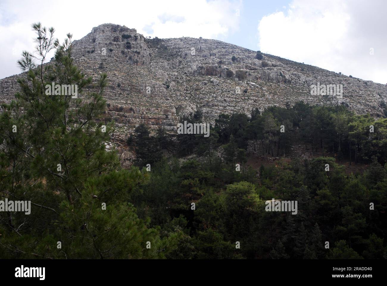 Greece, Rhodes island Embonas village and Atavyros mountain Stock Photo ...