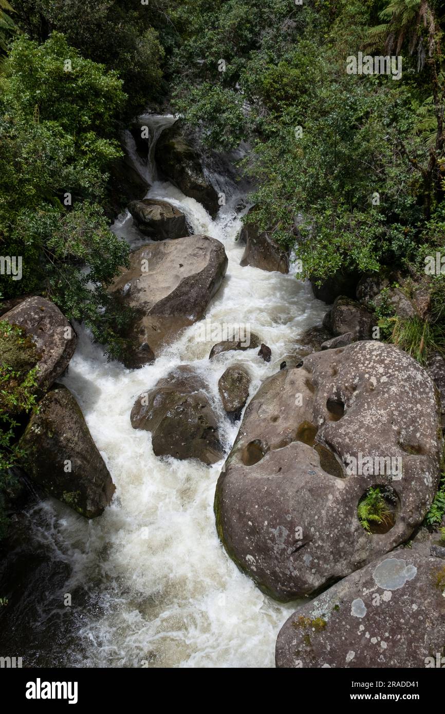 The rapids at Waione Stream – a waterfall rest stop on the Pureora ...