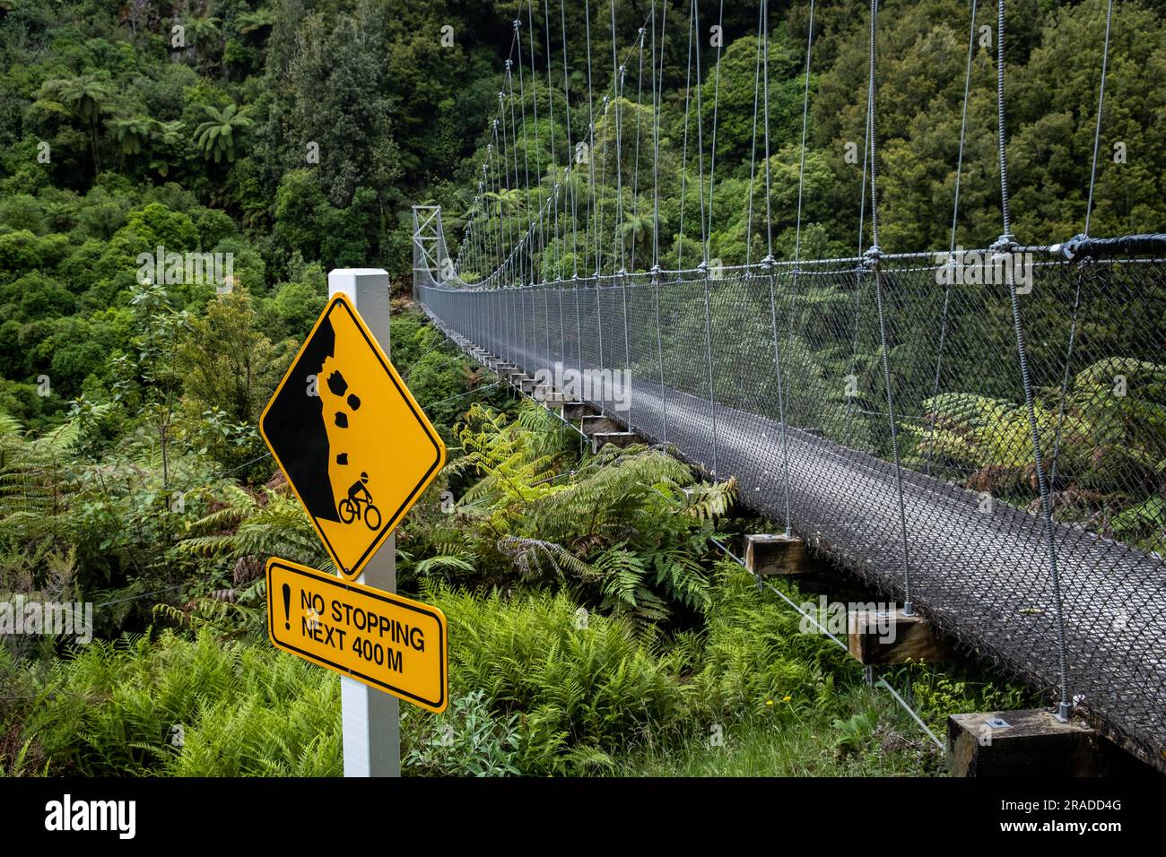 Forest rope bridge hike hi-res stock photography and images - Alamy