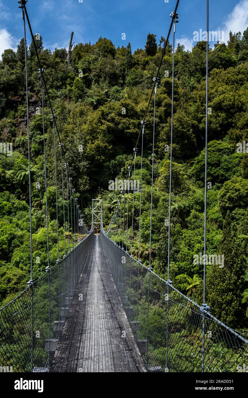 Mangakotukutuku Bridge on the Pureora-Ongarue Timber Trail near ...