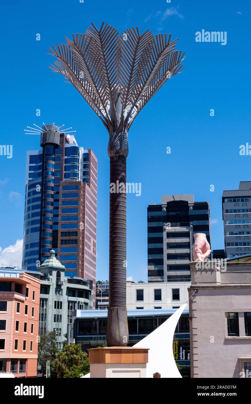 New zealand palm tree hi-res stock photography and images - Alamy