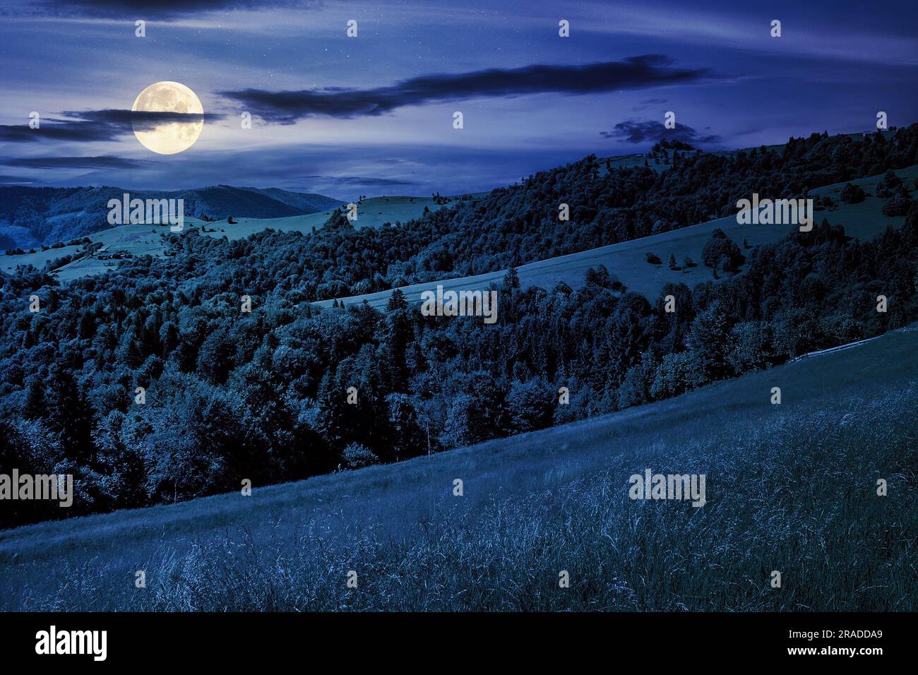 summer landscape with green fields and pine forest on the hillside at ...