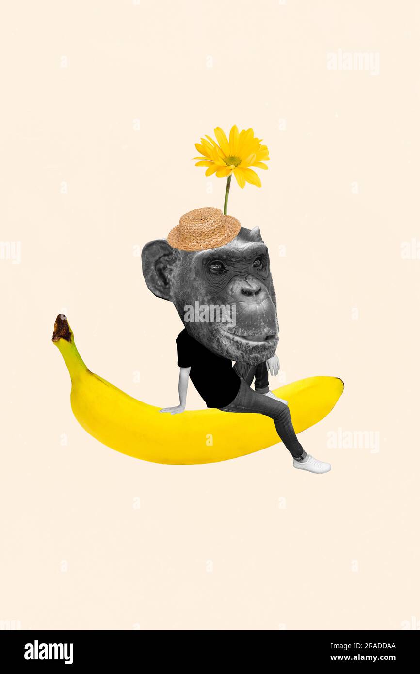 3d retro creative artwork collage of funny chimpanzee sitting big huge ...