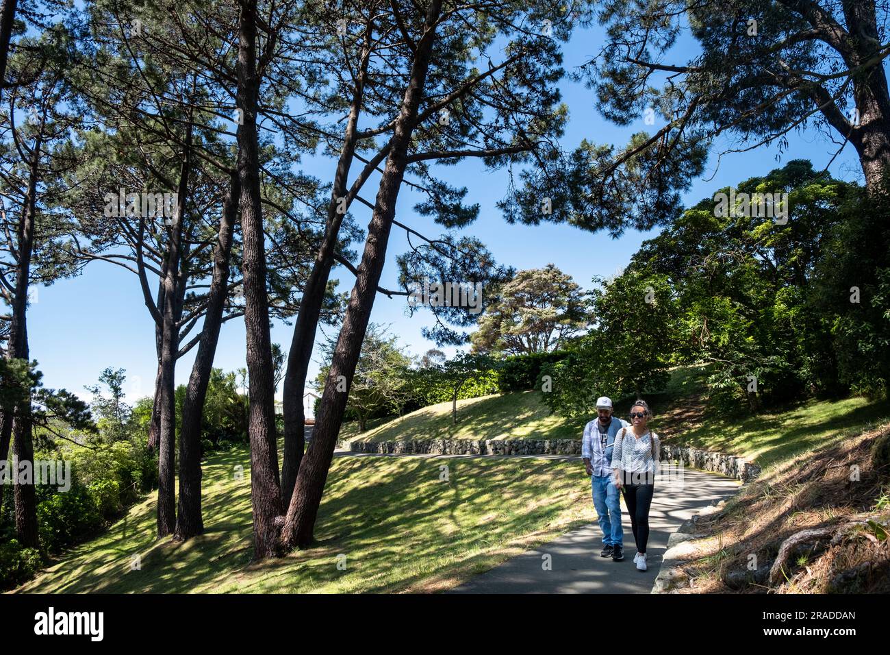 Kelburn botanic gardens hi-res stock photography and images - Alamy