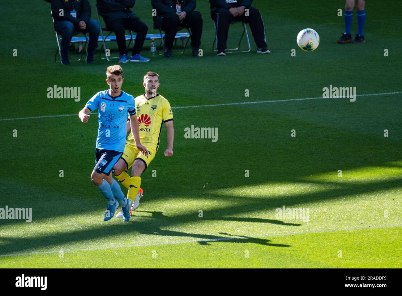 David ball wellington phoenix hi-res stock photography and images - Alamy