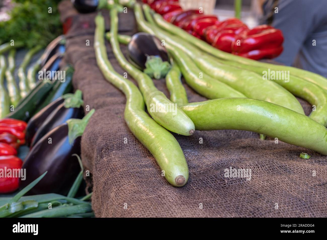 Siciliana serpente hi-res stock photography and images - Alamy