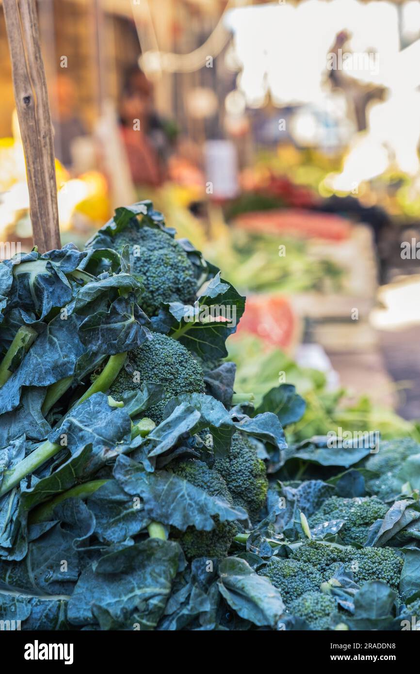 Broccoli rabe on street food market Ballaro, Palermo Sicily, vegetable ...