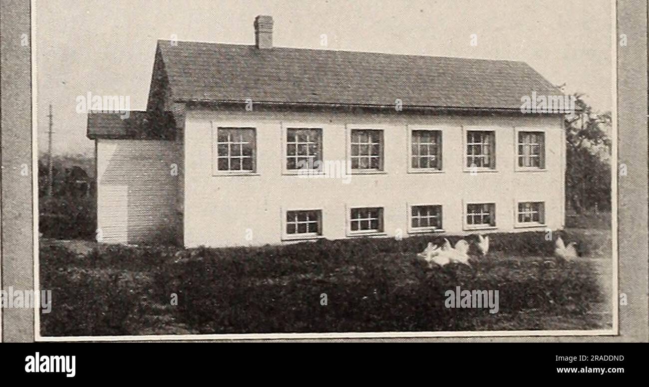 "Eggs and egg farms : Trustworthy information regarding the successful ...