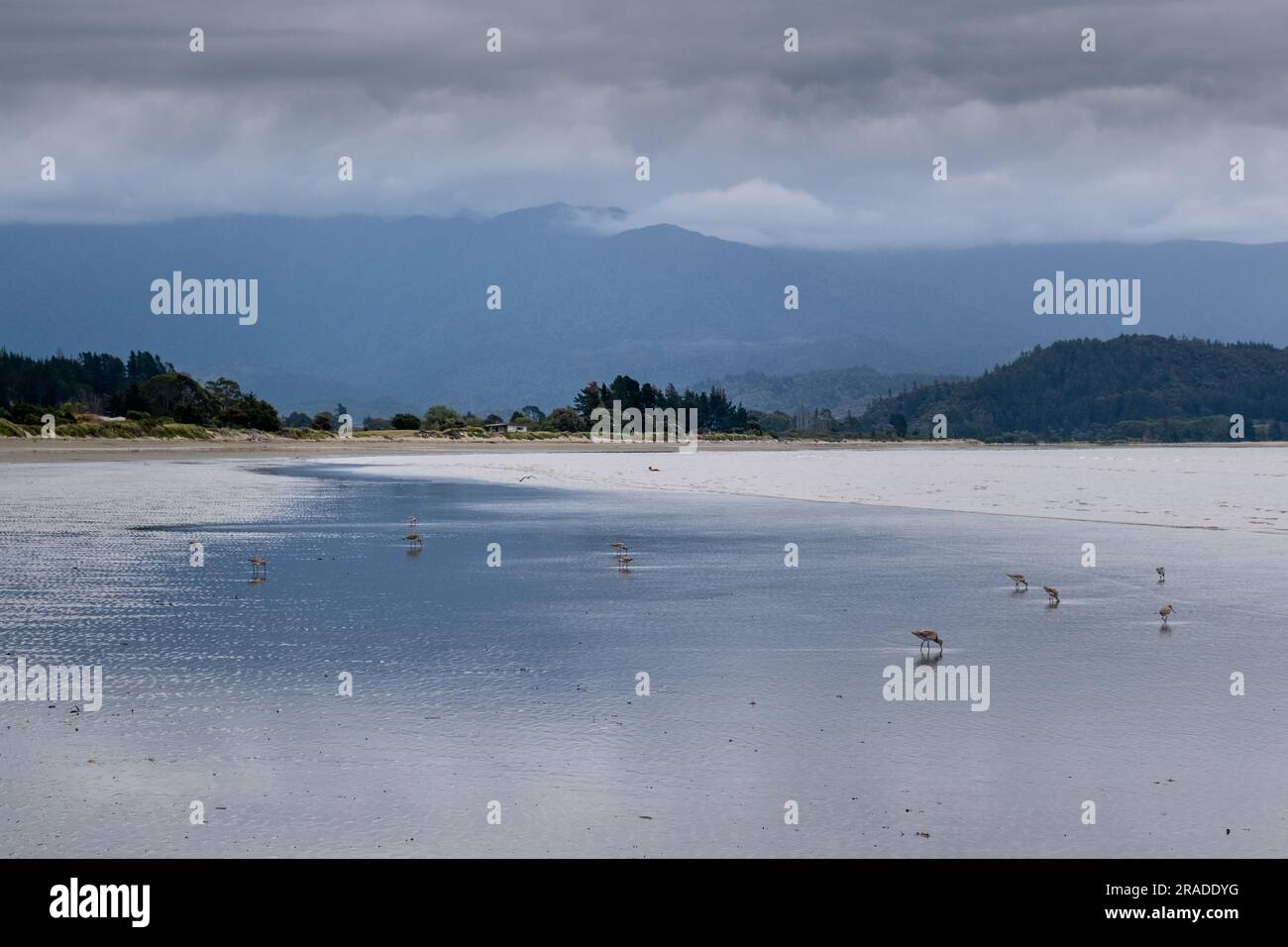A beautiful summer evening on Pōhara Beach in the Takaka Coastal Region ...