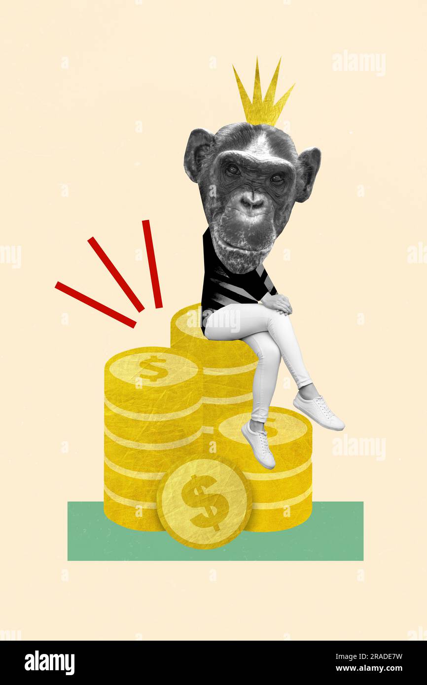 Collage artwork graphics picture of cool confident chimpanzee sitting ...