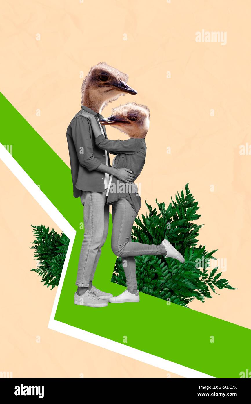 Creative collage 3d picture of headless two ostrich animals zoo party ...