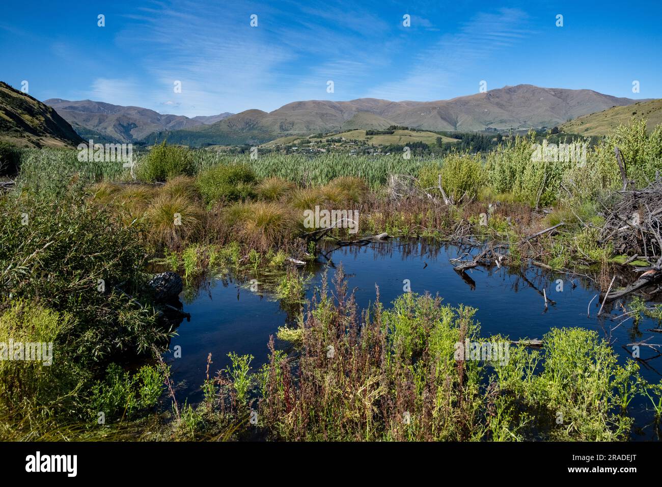 Lake Hayes on the popular cycle path that runs north from Queenstown to ...
