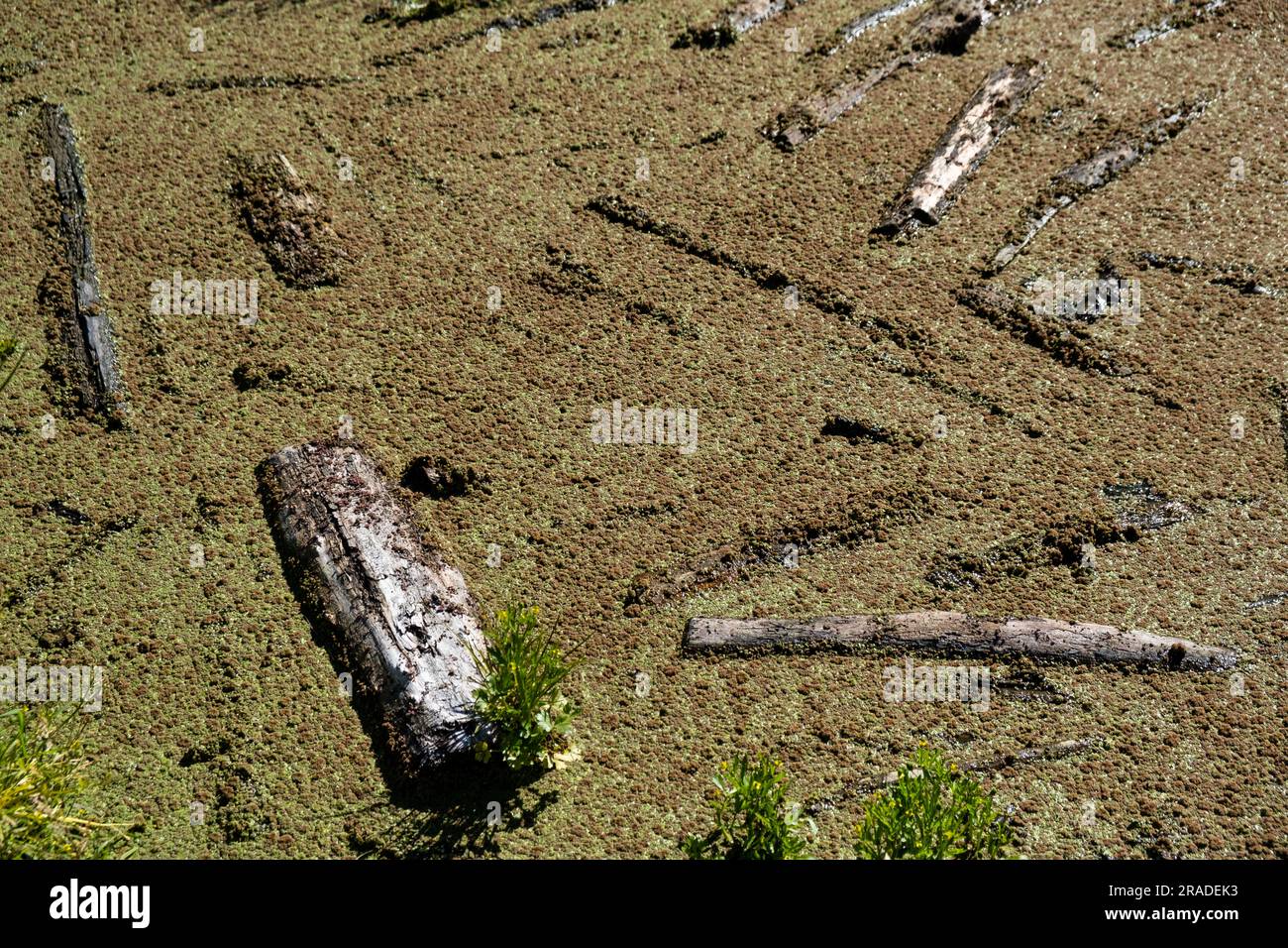 Lake Hayes on the popular cycle path that runs north from Queenstown to ...