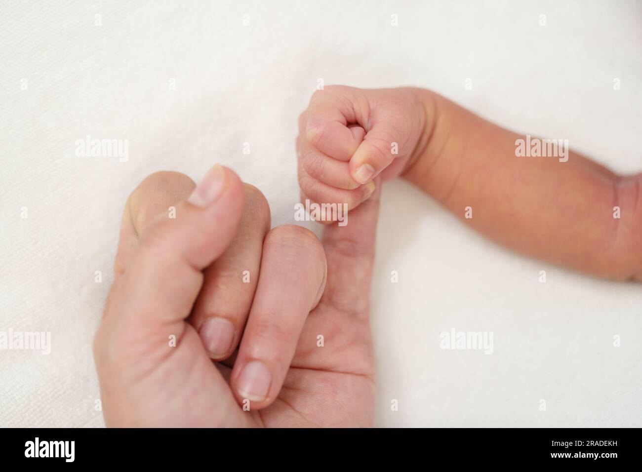 newborn baby holding little finger of mother's hand on a bed Stock ...