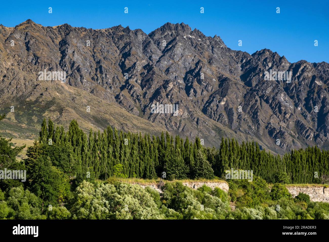 The iconic Remarkables Mountains viewed above the popular cycle path ...
