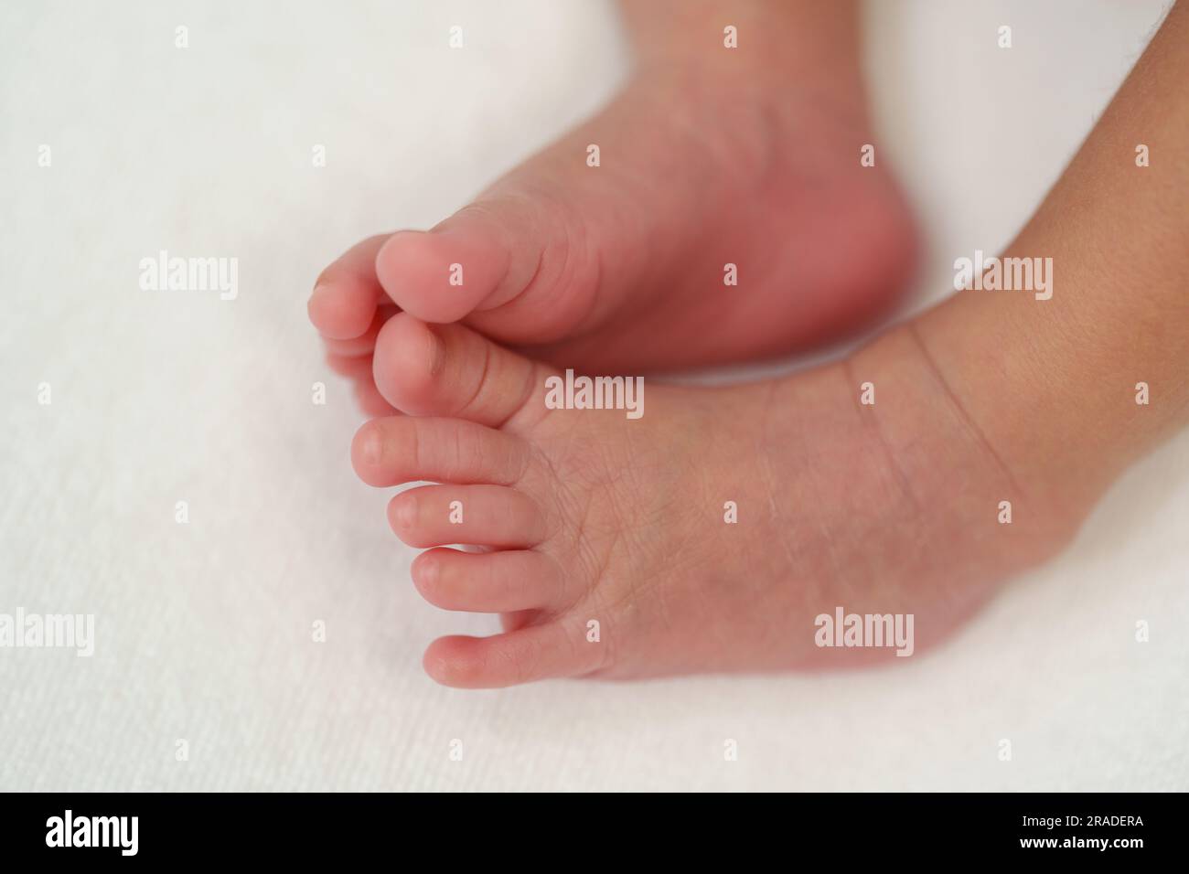 close up feet of newborn baby on a bed Stock Photo - Alamy