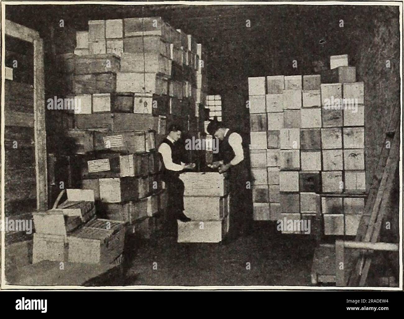 CASES OF EGGS IN COLD STORAGE Stock Photo - Alamy