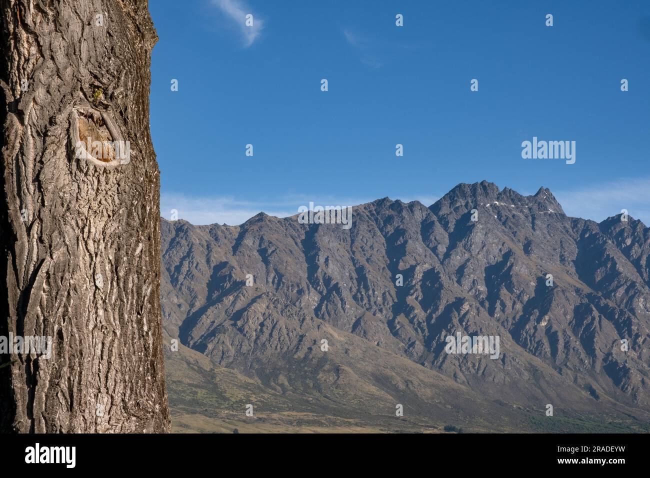 The iconic Remarkables Mountains viewed above Frankton with a tree ring ...
