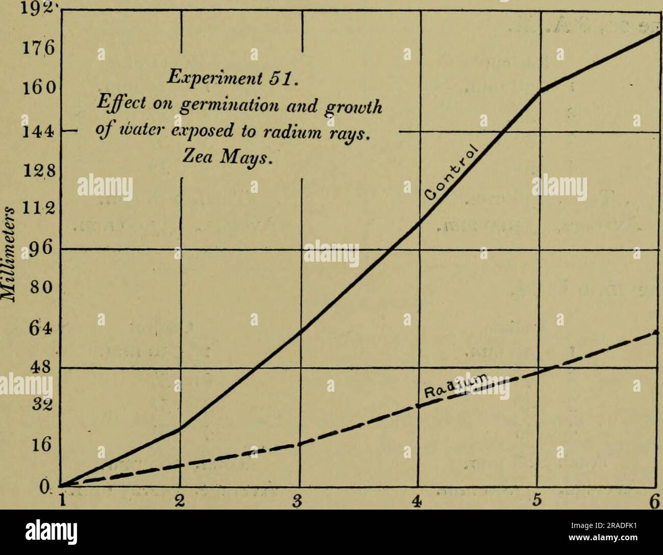 "Effects of the rays of radium on plants" (1908 Stock Photo - Alamy