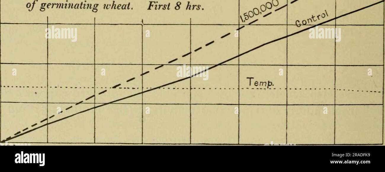 "Effects of the rays of radium on plants" (1908 Stock Photo - Alamy
