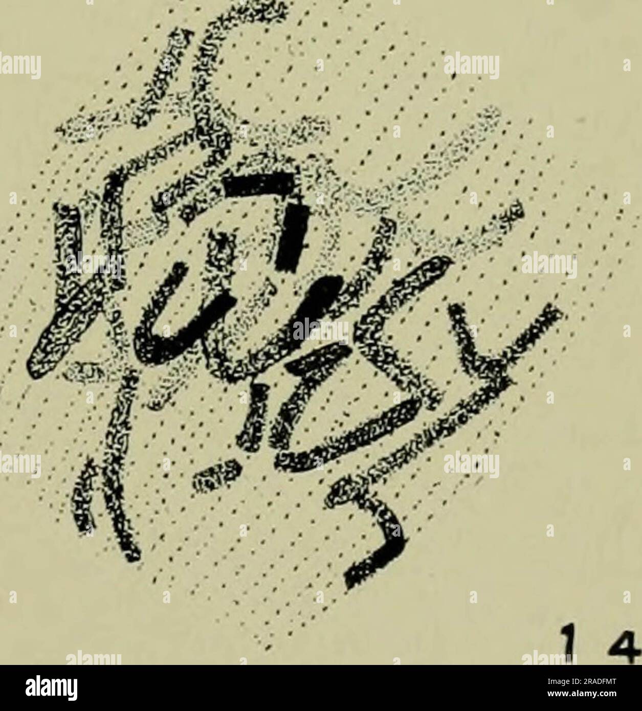 "Effects of the rays of radium on plants" (1908 Stock Photo - Alamy