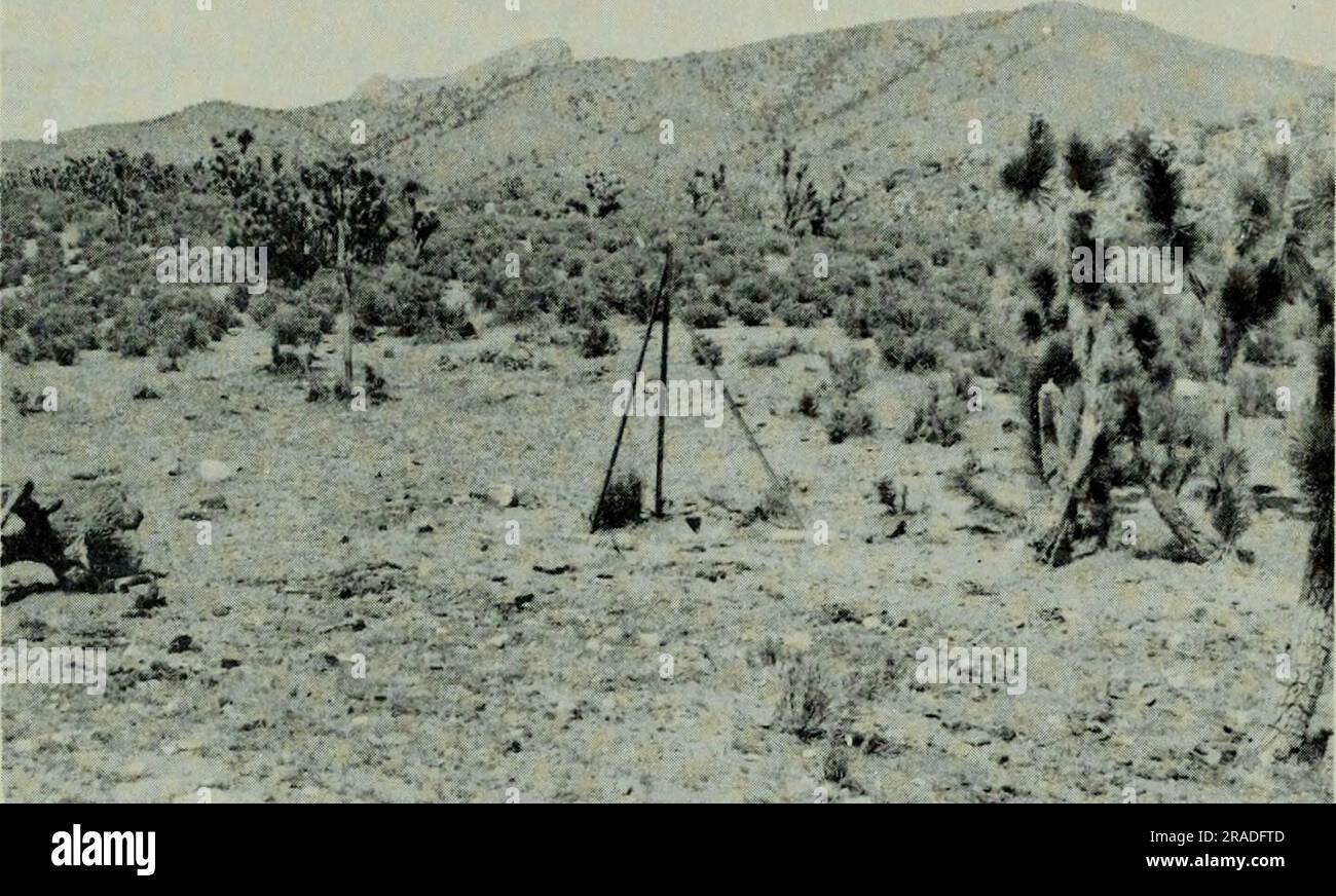View of a quail fountain with tripod fence Stock Photo - Alamy