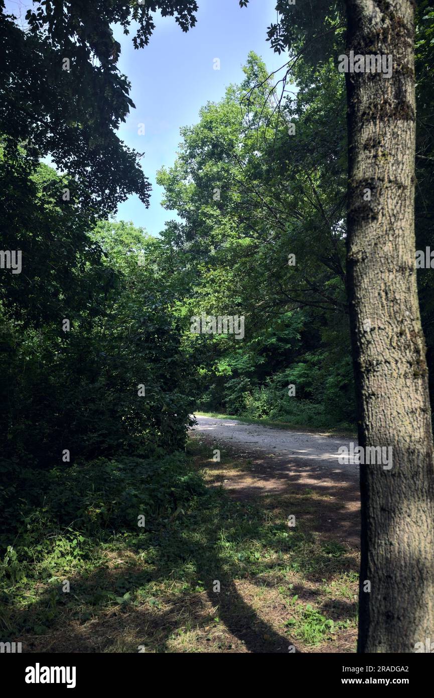 Pathway framing hi-res stock photography and images - Alamy