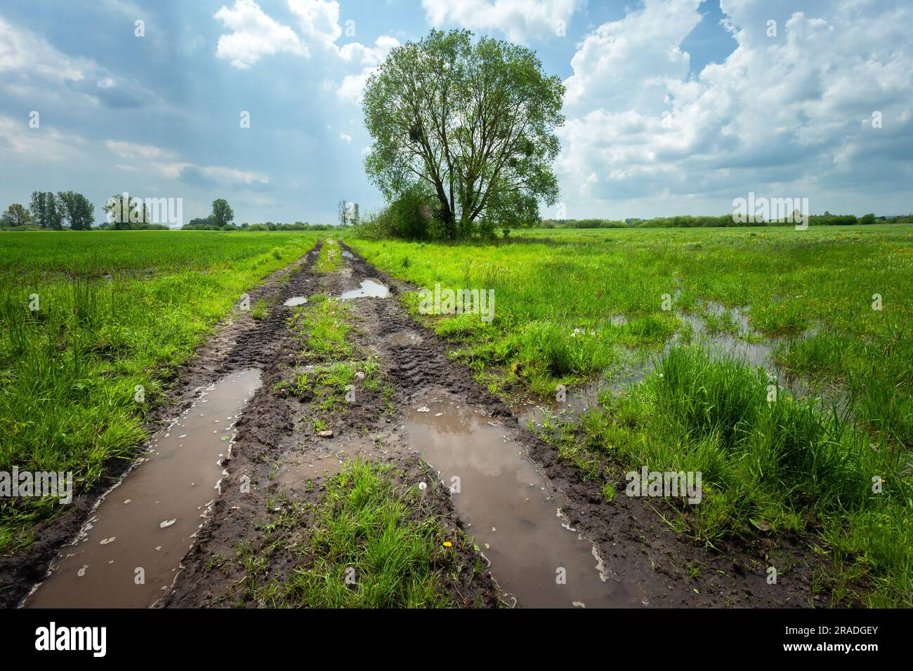 Soil water rain road hi-res stock photography and images - Alamy