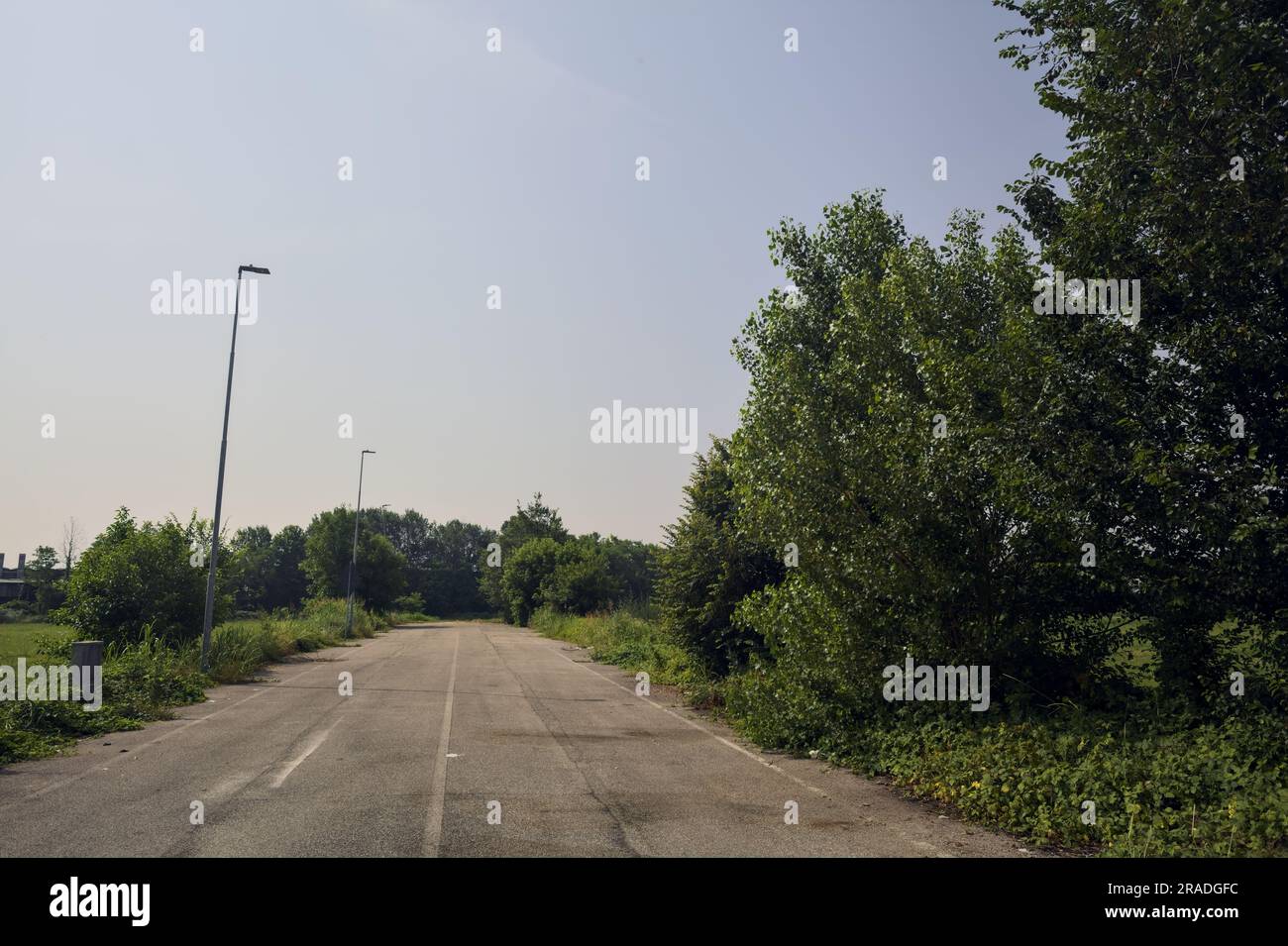 Path dead plants hi-res stock photography and images - Alamy