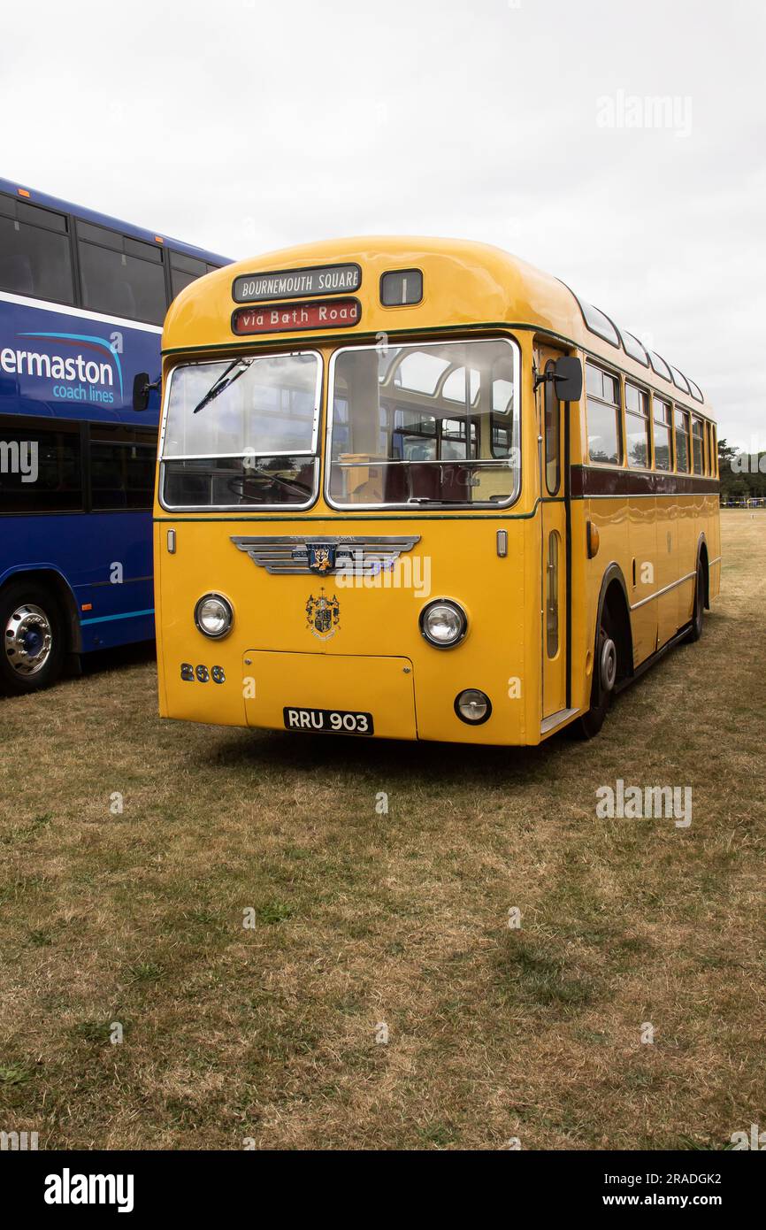 Bournemouth Bus Rally 2023, mostly vintage buses with a few models and ...