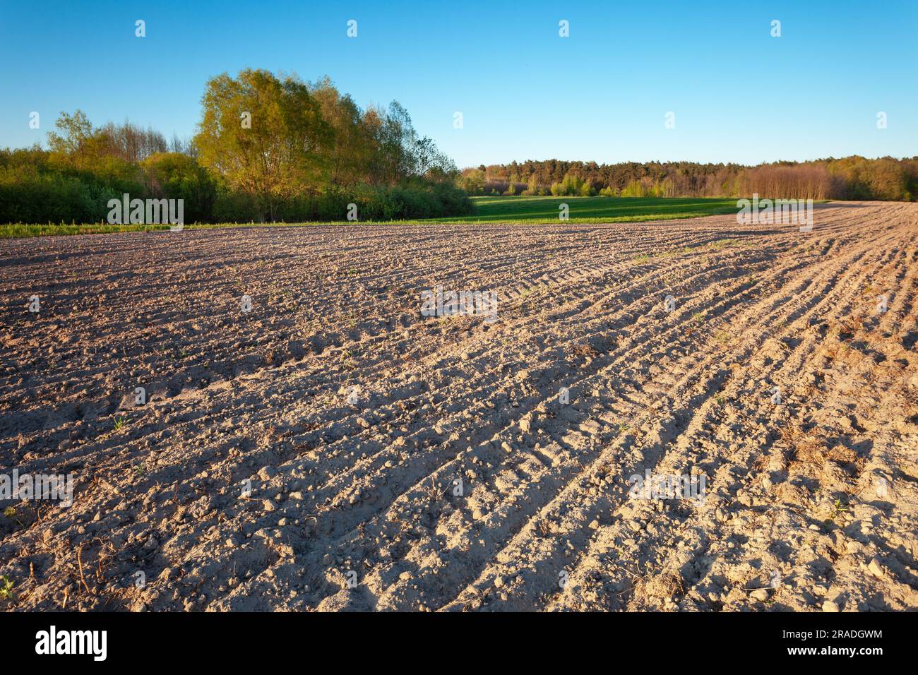 Strip farming hi-res stock photography and images - Alamy