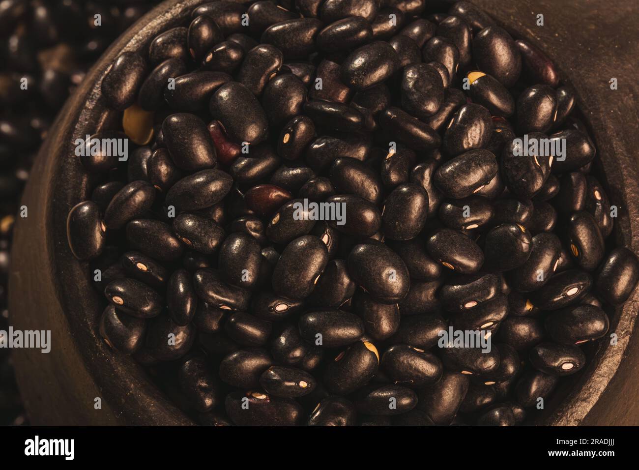 Black turtle bean - is a small, shiny variety of the common bean Stock ...