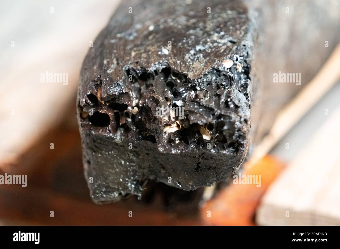 03 July 2023, Schleswig-Holstein, Lübeck: The end of a piece of wood ...