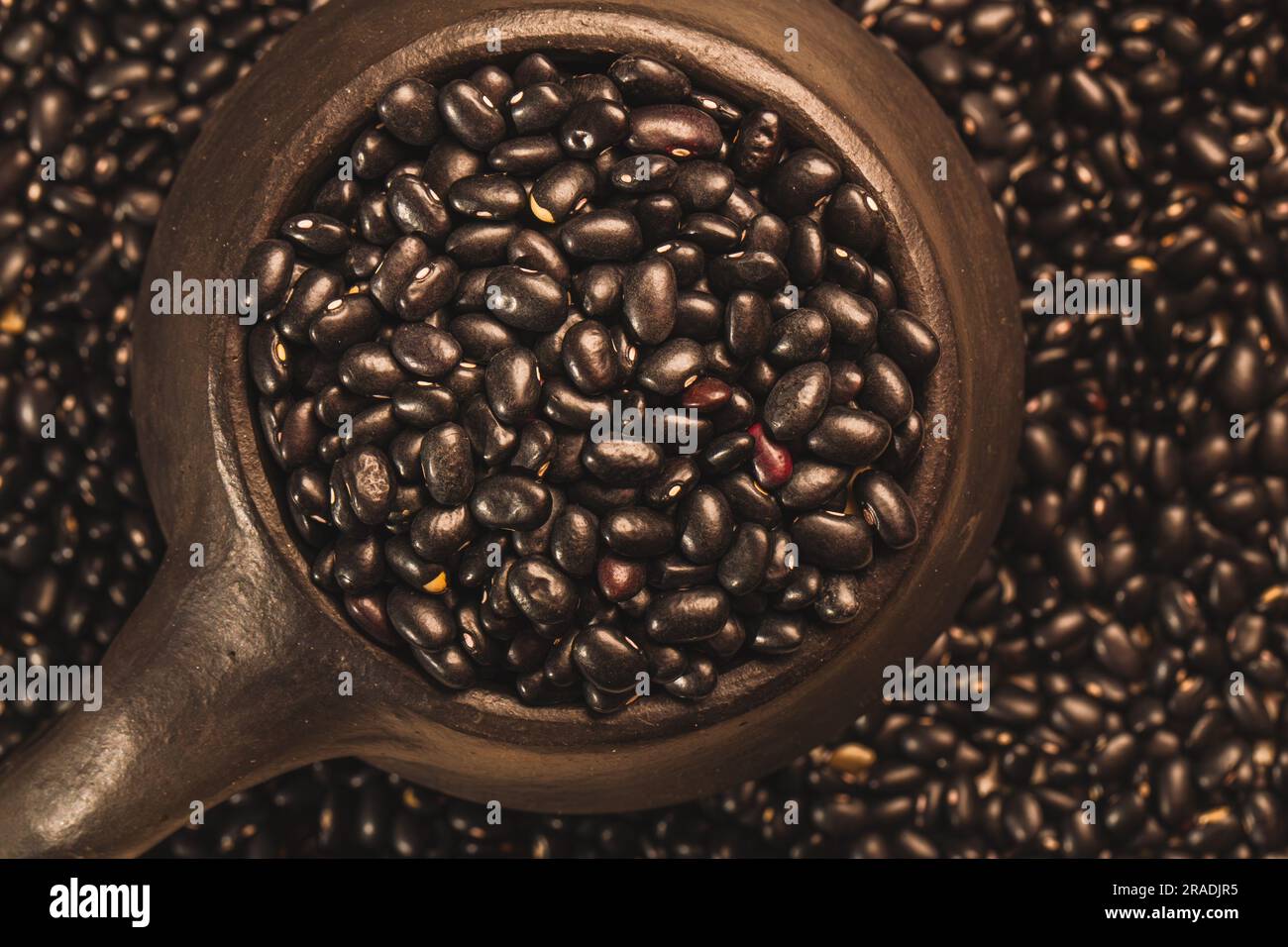 Black turtle bean - is a small, shiny variety of the common bean Stock ...
