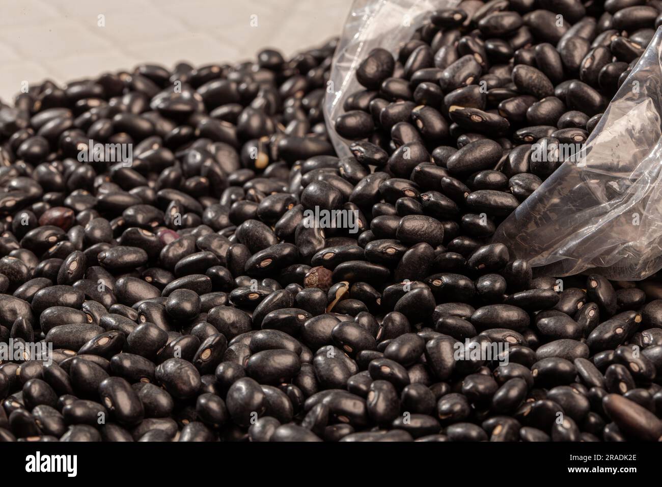 Black turtle bean - is a small, shiny variety of the common bean Stock ...