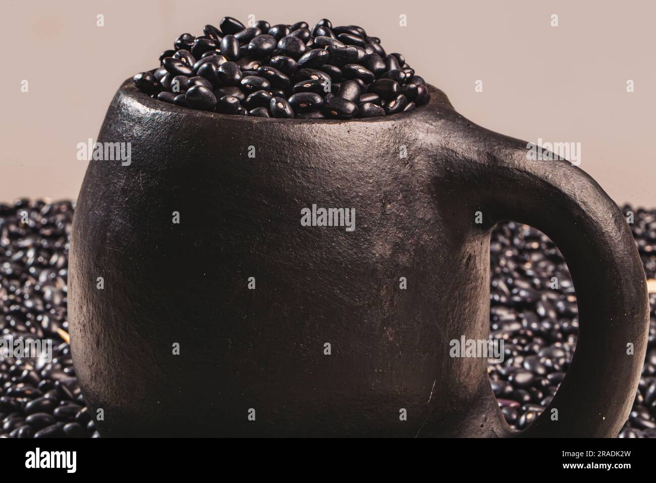 Black turtle bean - is a small, shiny variety of the common bean Stock ...