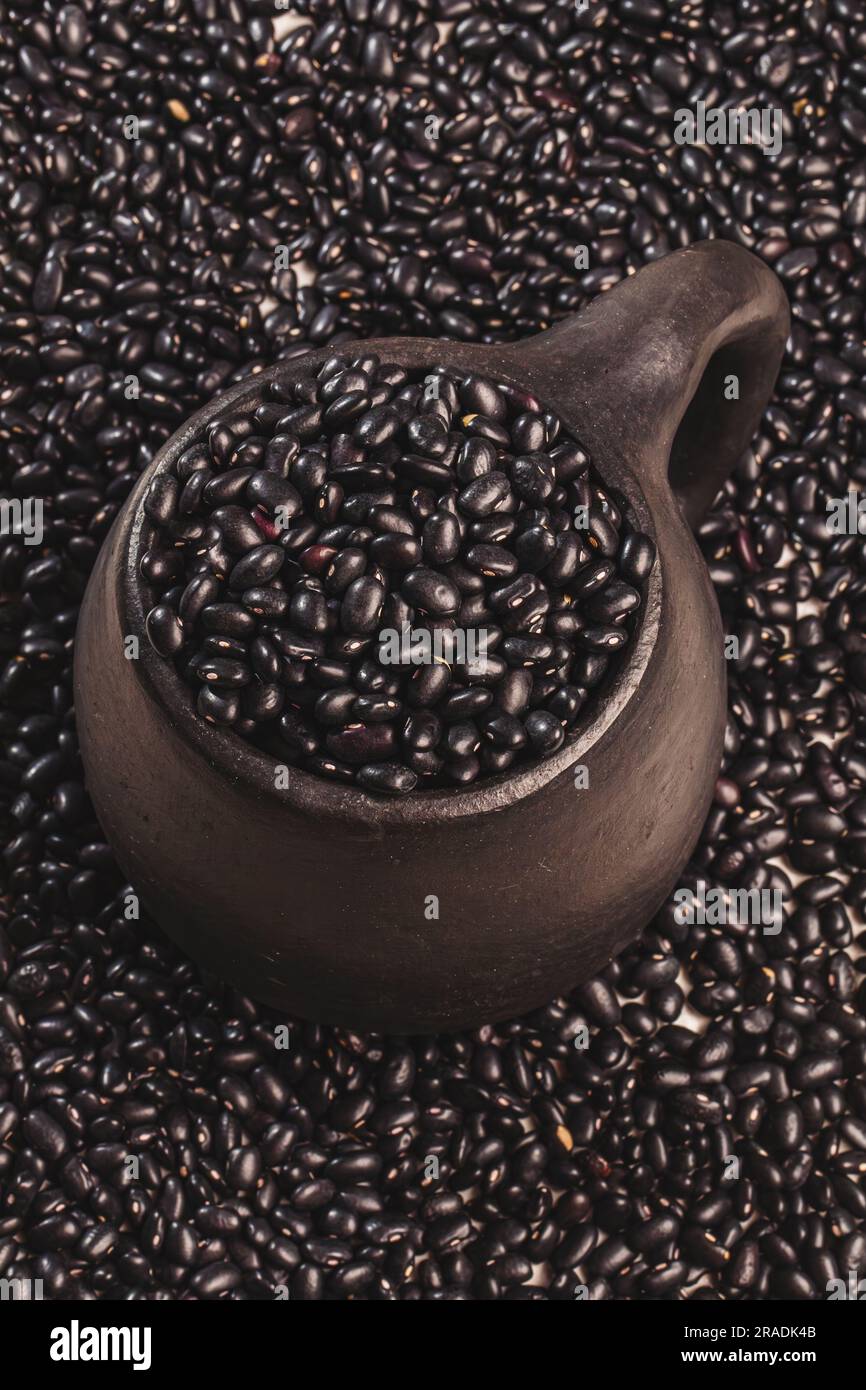 Black turtle bean - is a small, shiny variety of the common bean Stock ...